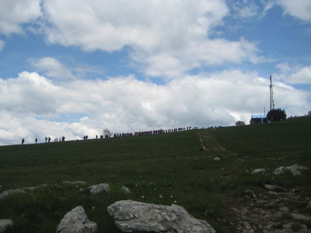 Slavnik :: ŠD Javor